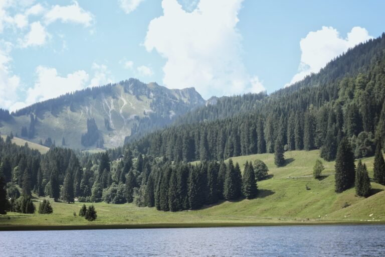 Spitzingsee Loop Trail (easy, 3km, 50hm) - Servus Schliersee